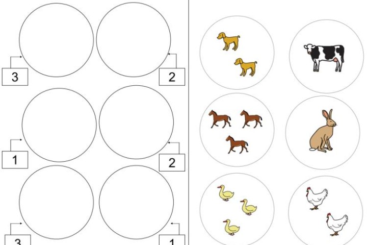 Aufgabenmappe - Zuordnung Würfel-Zahl-Mengenbild • gpaed.de