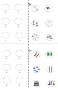 ZR 5 - Mengen und Zahlen zuordnen • gpaed.de