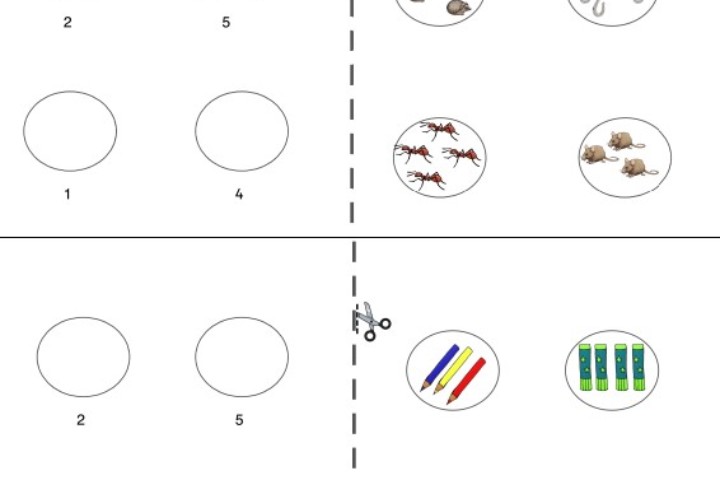 ZR 4 - Mengen und Zahlen zuordnen • gpaed.de