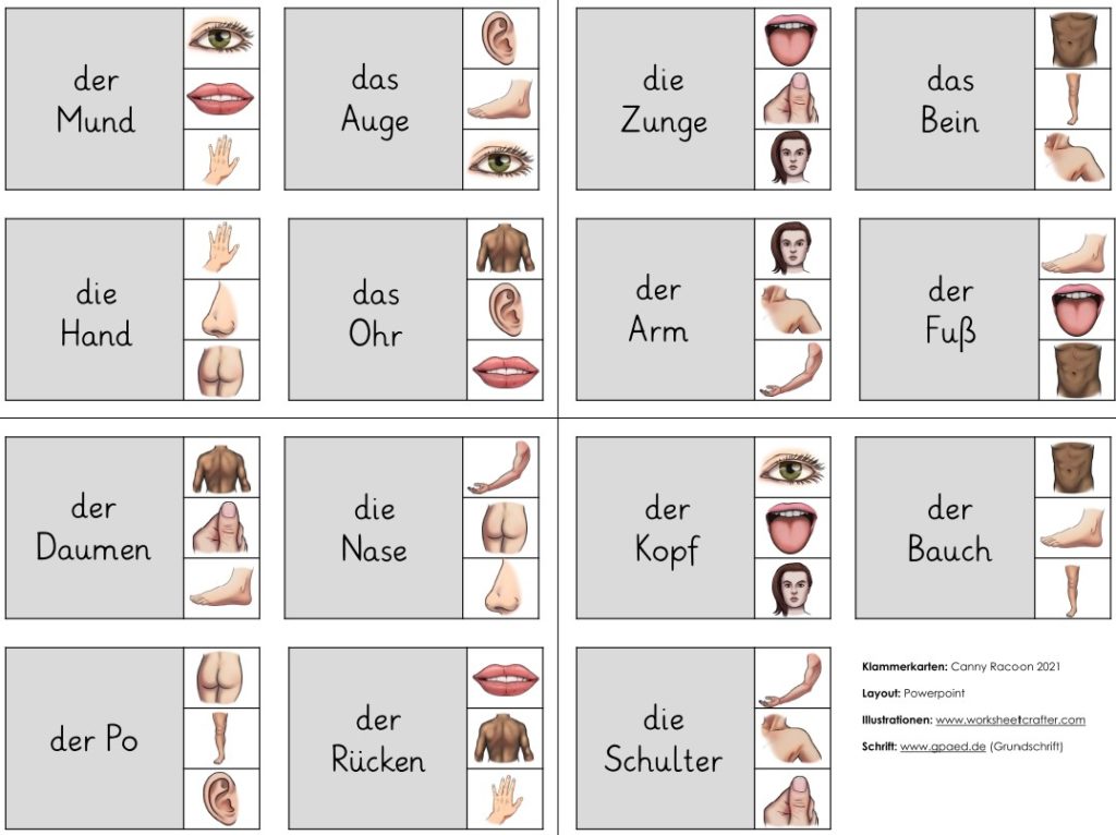 Klammerkarten Körper • gpaed.de